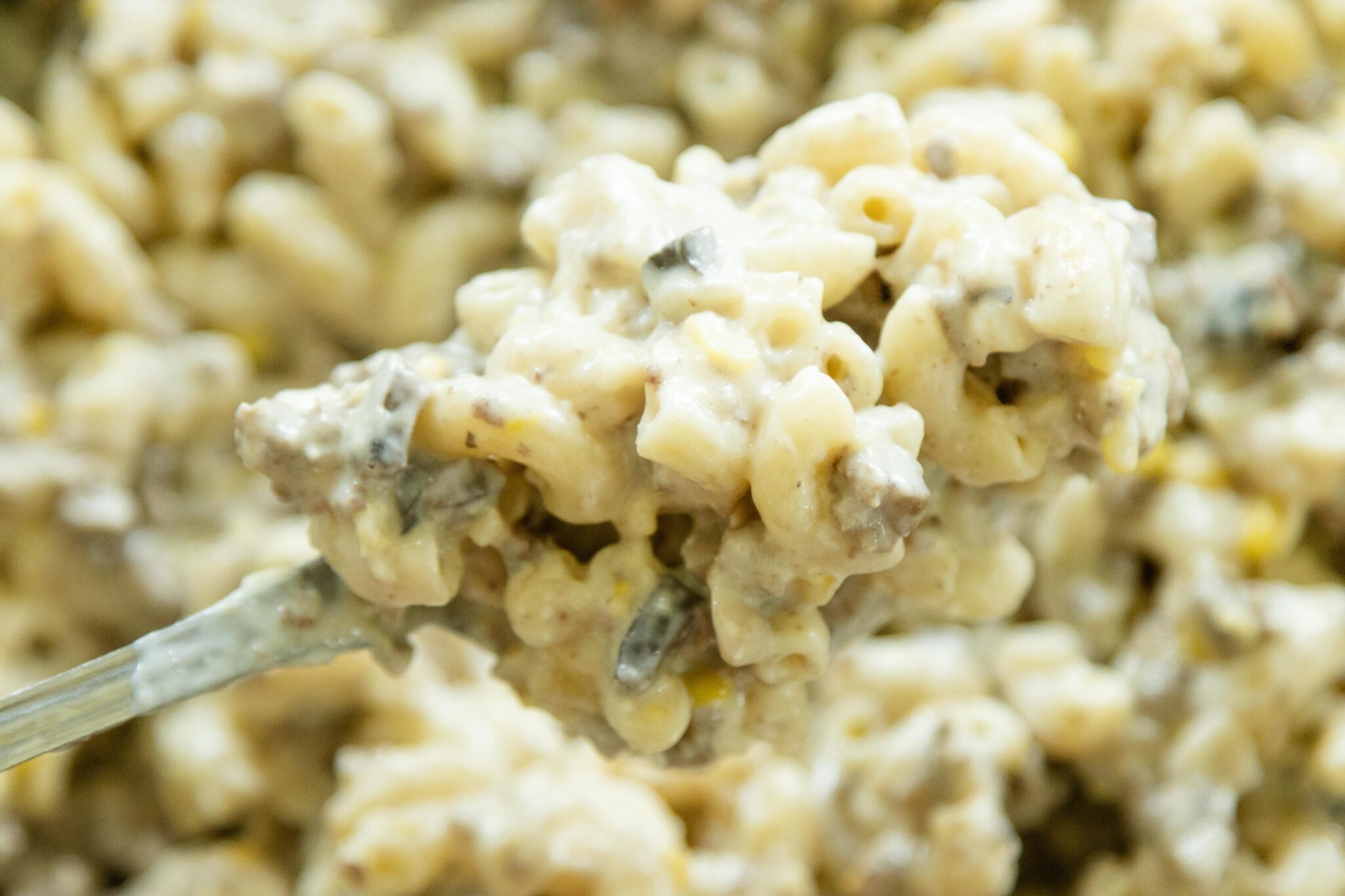 Dairy Casserole - Simple Mennonite Dinner Recipe - Small Town Scratch