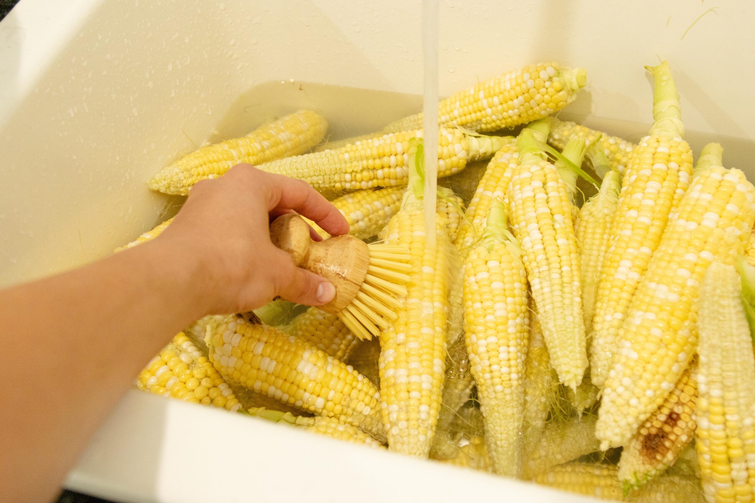 How to Freeze Corn - Blanching & Freezing Sweet Corn - Small Town Scratch