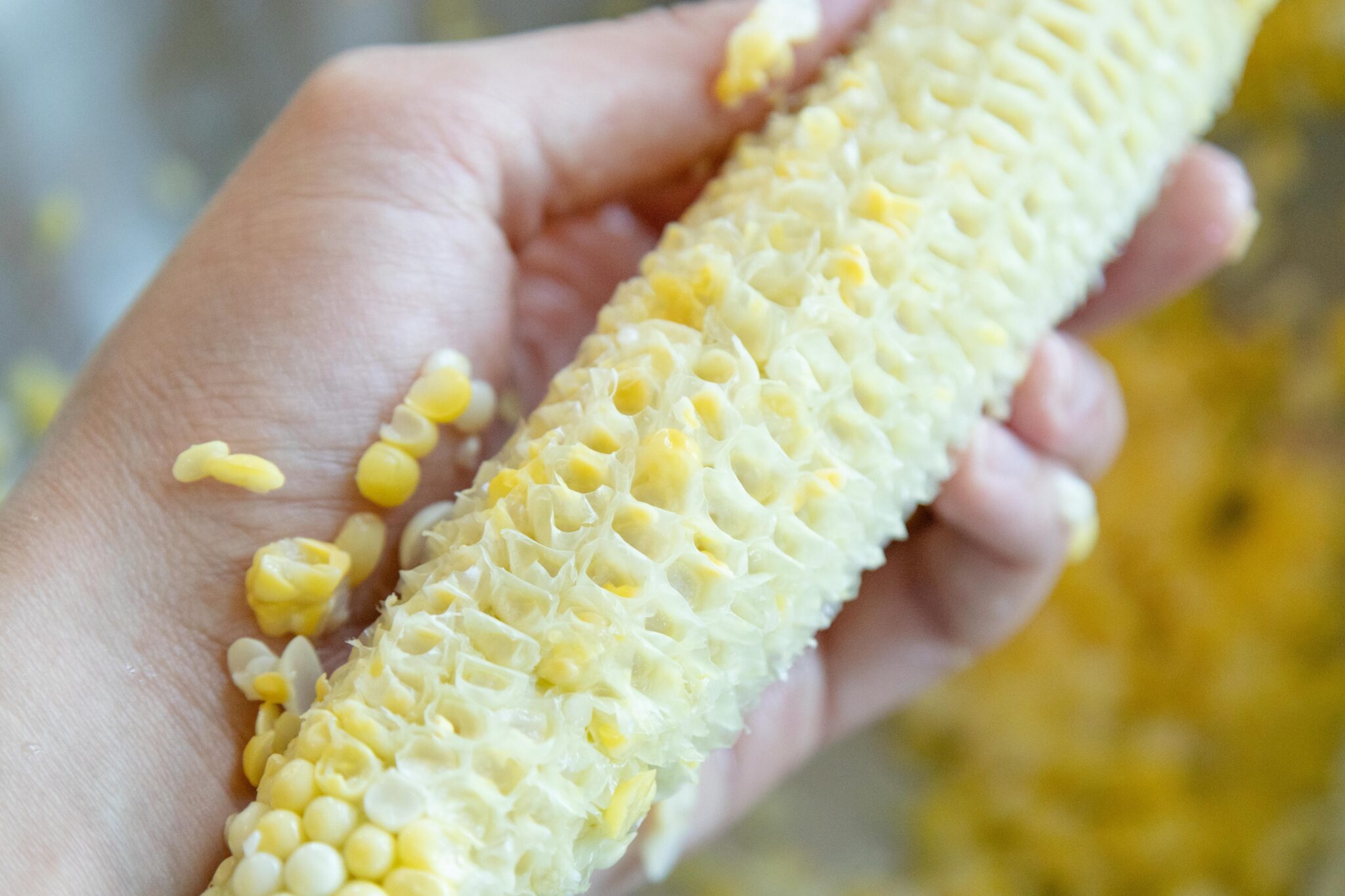 How to Freeze Corn - Blanching & Freezing Sweet Corn - Small Town Scratch