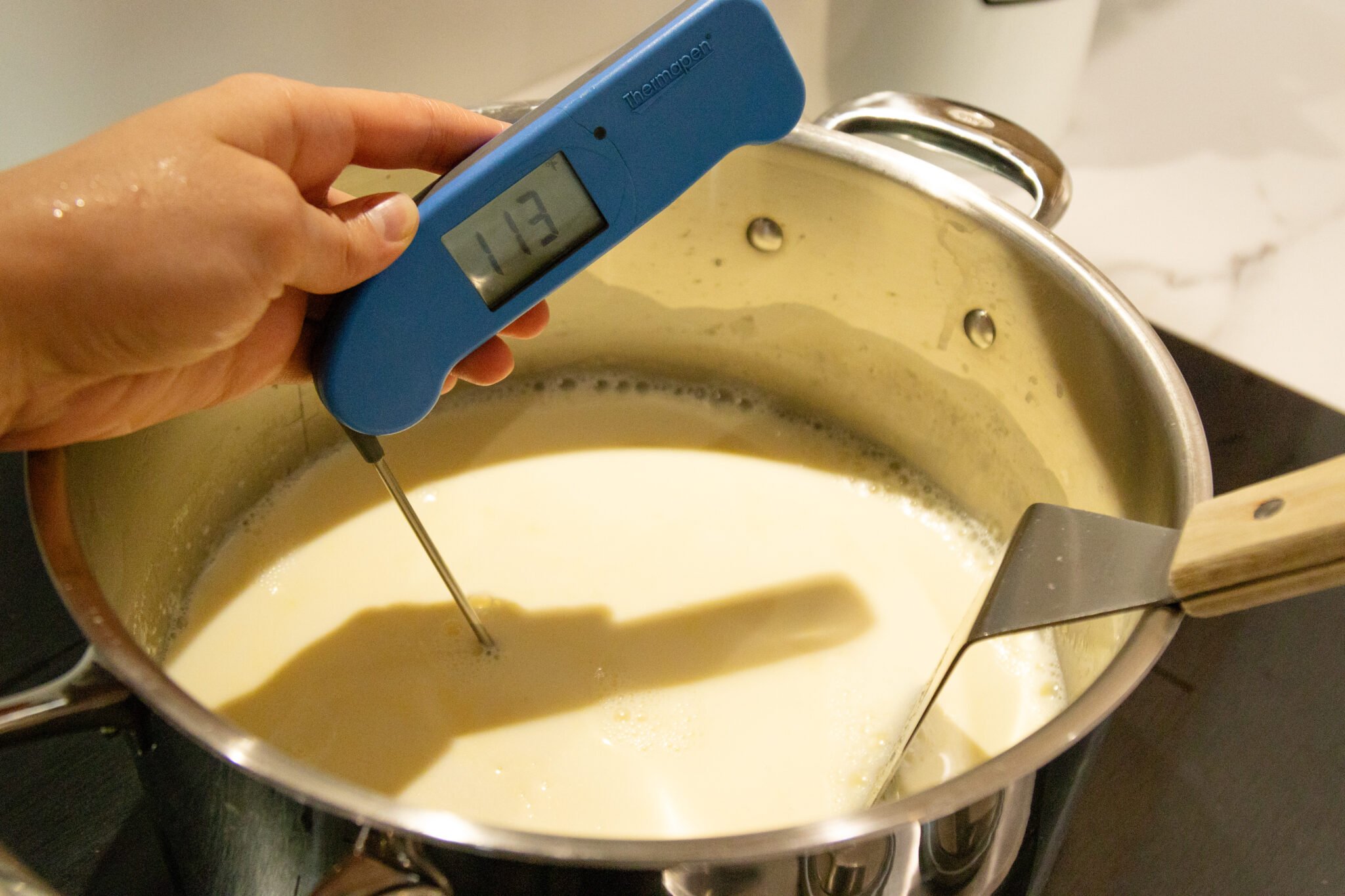 How to Make Yogurt from Raw Milk (2 Easy Ways) - Small Town Scratch